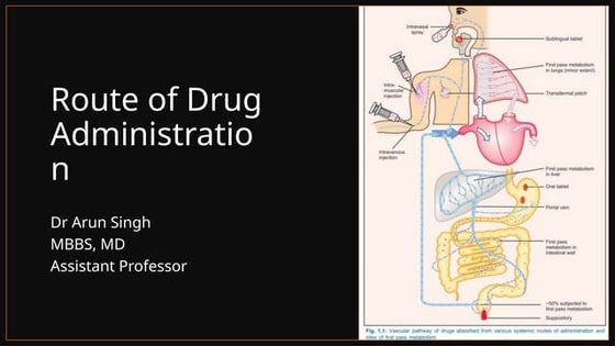 Absorption of drugs from non per os extravascular administration | PPT