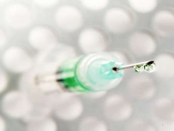 Intra peritoneal (ip) route of drug administration | PPTX ...