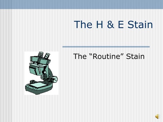 H & e preparation and staining | PPT