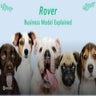 Rover App Business Model.pptx