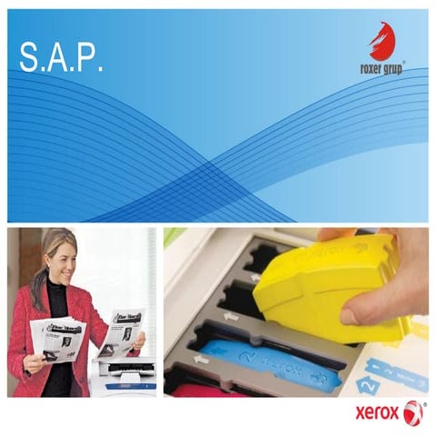 Roxer - Document Life - 6apr2012 | PDF