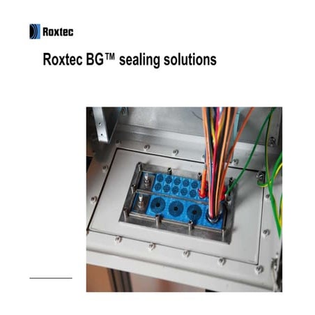 Roxtec BG Solutions | PDF