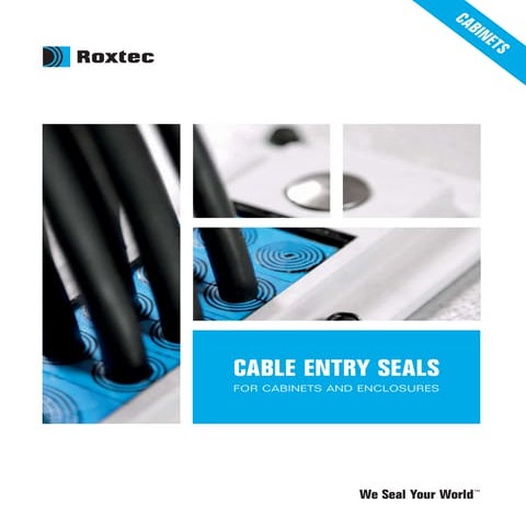 Roxtec MCT - Cable Entry Solutions for Process Industries | PPTX