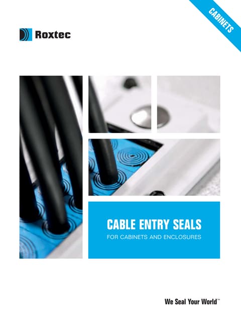 Roxtec MCT - Cable Entry Solutions for Process Industries | PPTX
