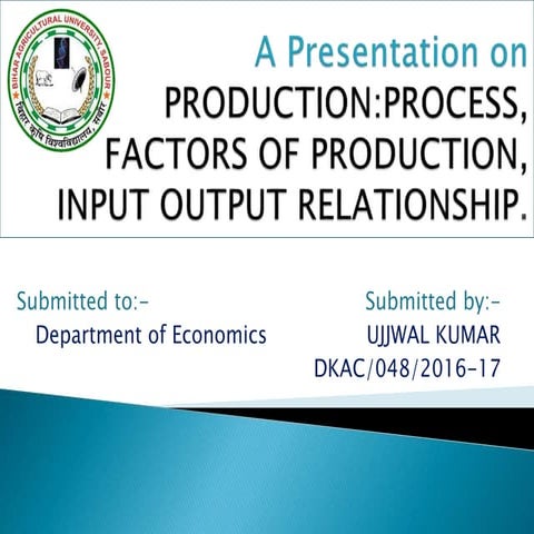 Production Process Factors Of Production Input Output Relationship