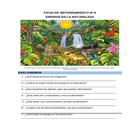 Hoja De Trabajo Sobre El Flujo De Energía En Los Ecosistemas