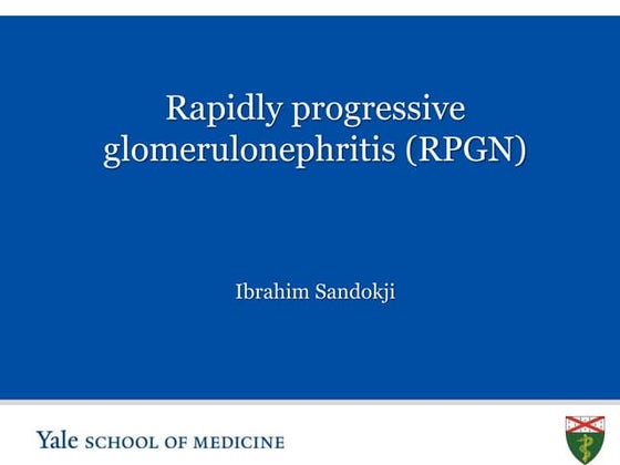Pulmonar Renal Syndrome | PPT