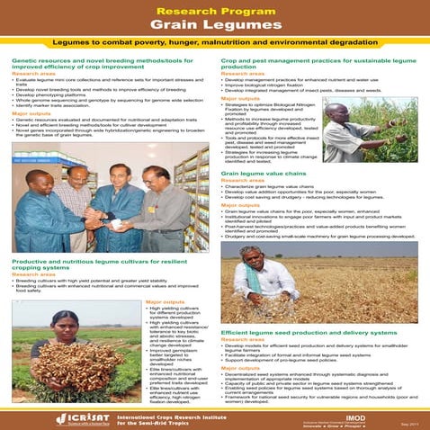 Research program on Grain Legumes | PDF | Agriculture | Industries