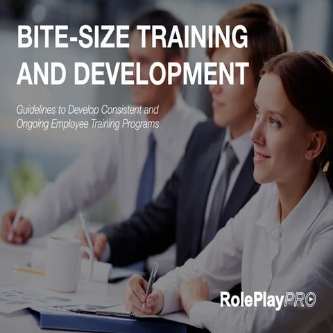 Bite-Size Training and Development | PDF