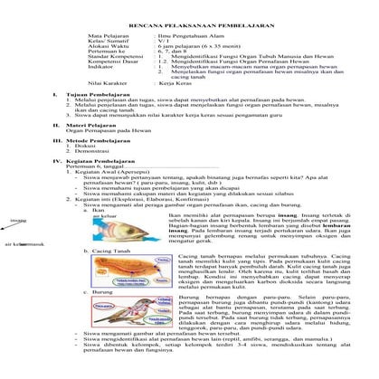RPP IPA 5 kd.1.2 | DOC