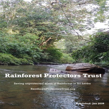 Rainforest Protectors Trust Brochure - v2.2 | PDF