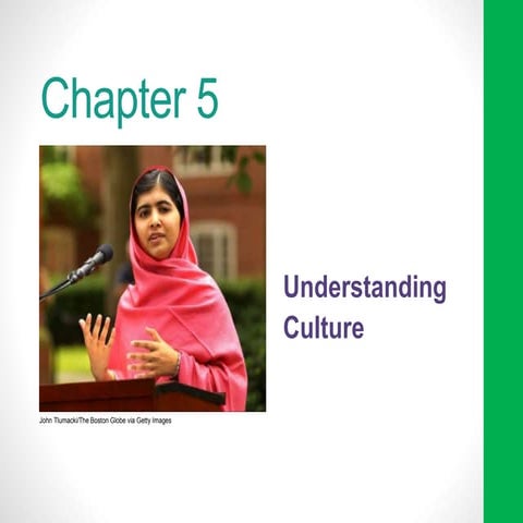 Reflect and Relate - PowerPoint - Chapter 5 | PPTX