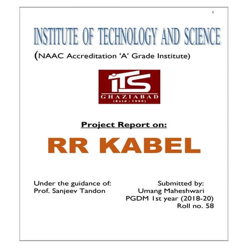 RR Kabel project report | PDF