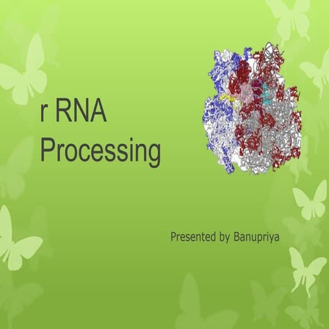 R rna processing | PPTX