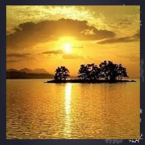 RRR FINAL bj sir.ppt on residual alveolar | PPT