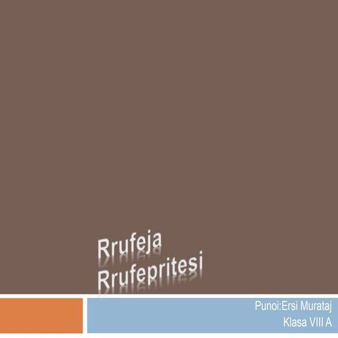 Rrufeja x | PPTX