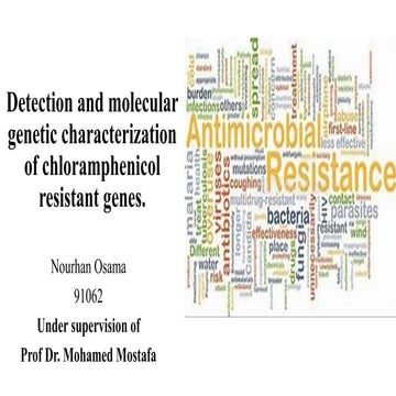 RSBT INTRO Nourhan Osama.pptx