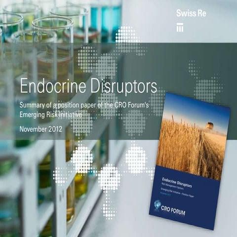 RSCH presentation | PPTX