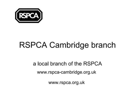 Rspca | PPT