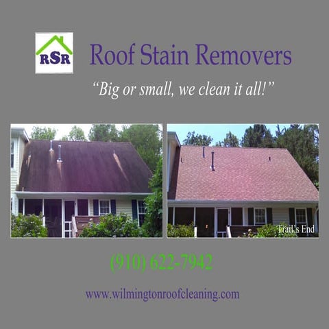 Roof Stain Removers Intro for Realtors | PPT