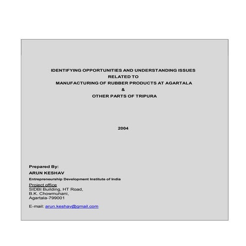 IDENTIFYING OPPORTUNITIES AND UNDERSTANDING ISSUES RELATED TO ...