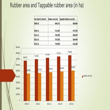 Rubber | PPTX | Commodities | Economy