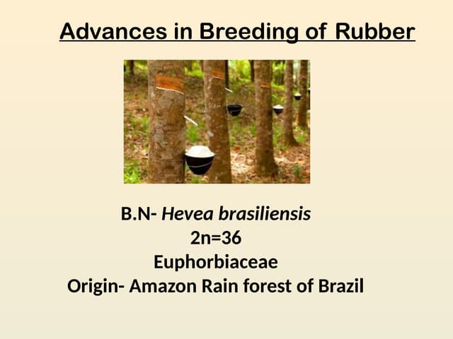 09 Micronutrient-Soil.pptx