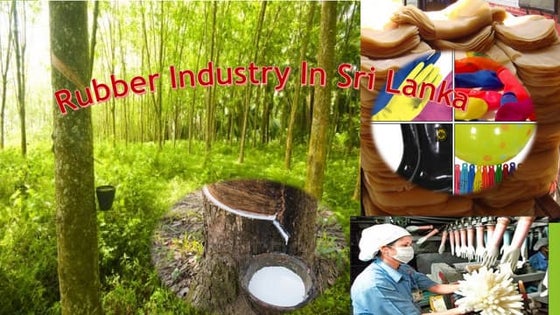 NARM BROCHURE 2015 [eVer] | PDF | Green Solutions | Business