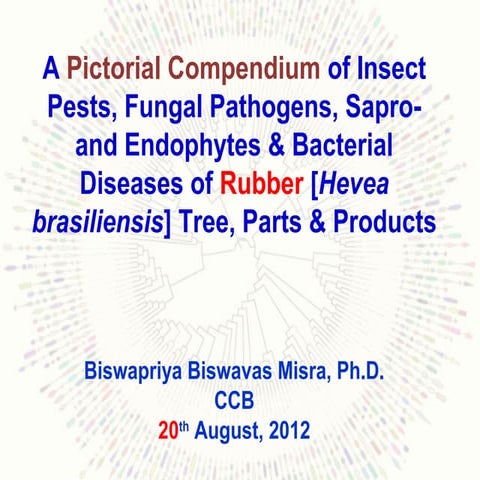A Pictorial Compendium of Insect Pests, Fungal Pathogens, Sapro- and ...