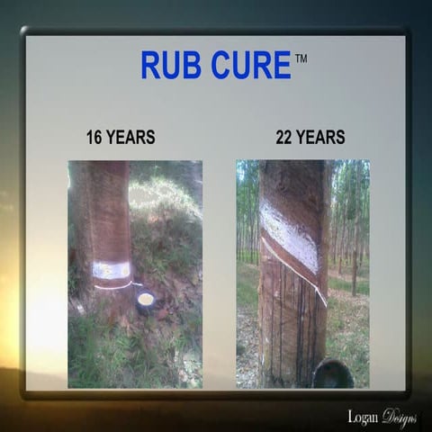 Rub cure | PPT