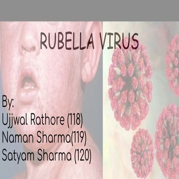 Rubella virus all the information you need .pdf