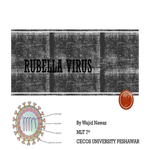 Rubella_Virus_Presentation -morphology.pptx