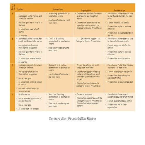 Conservation Presentation Rubric | PPT