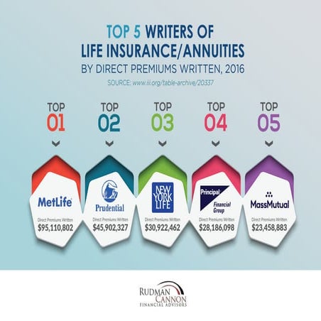 Top 10 Writers Of Life Insurance/Annuities - Rudman Cannon | PDF | Life ...