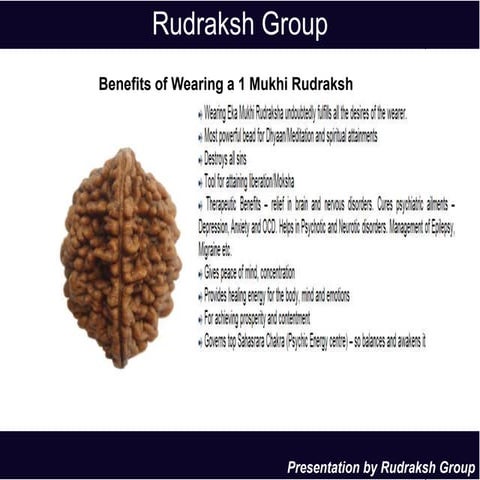Rudraksh Group | PPT