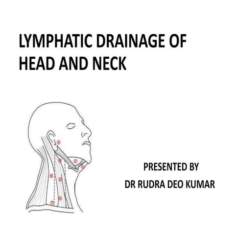 lymphatics of face | PPTX