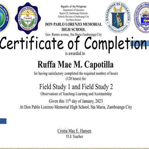 Ruffa.pptx