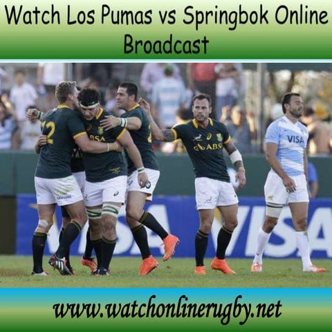 Rugby championship los pumas vs springbok | PPTX