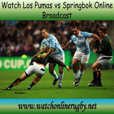 Rugby match los pumas vs springbok live | PPT