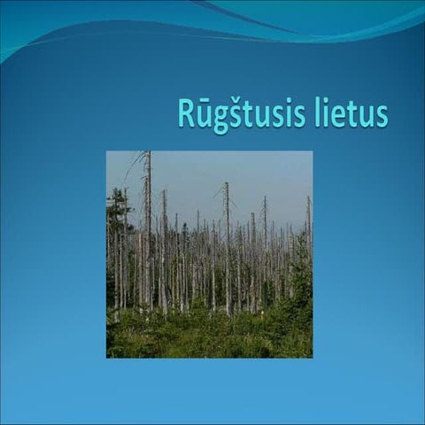 Rugstus lietus | PPT