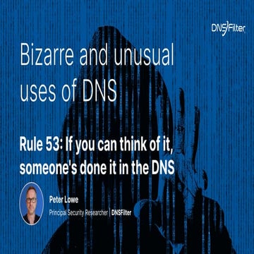Rule 53 - Bizarre And Unusual Uses of DNS.pdf