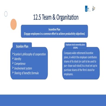 Pengertian Team Organization yang wajib diketahui | PPTX