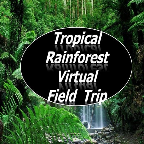tropical rainforest | PPT
