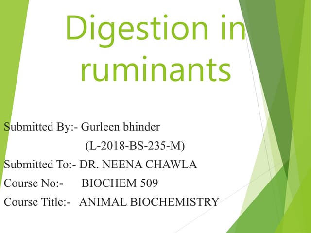 digestive system of ruminants.pptx