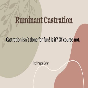 CASTRATION AND ITS TYPES IN VETERINARY ANIMALS | PPTX