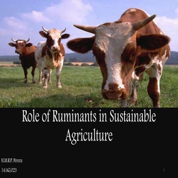 Role of ruminants in sustainable agriculture | PPTX