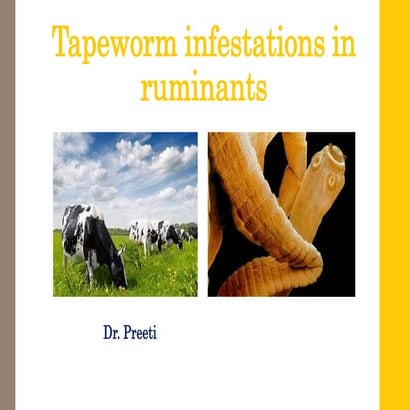 Ruminants tapeworm.pptx