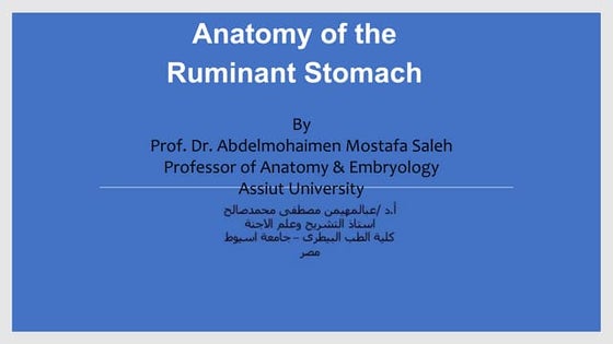 functional anatomy of digestive system of ruminants.pptx