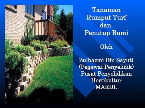 tanaman kelapa sawit | PDF