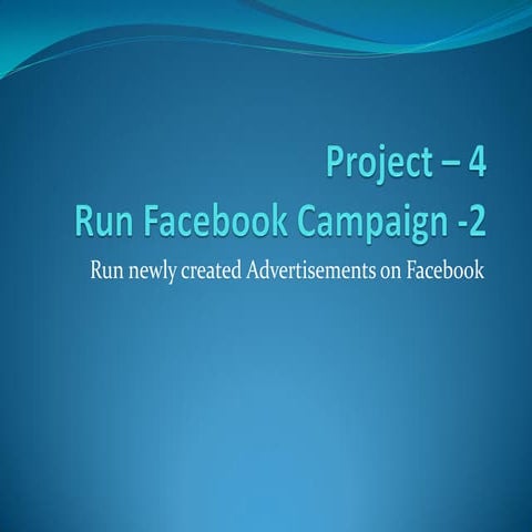 Run a Facebook Campaign Part 1 | PDF